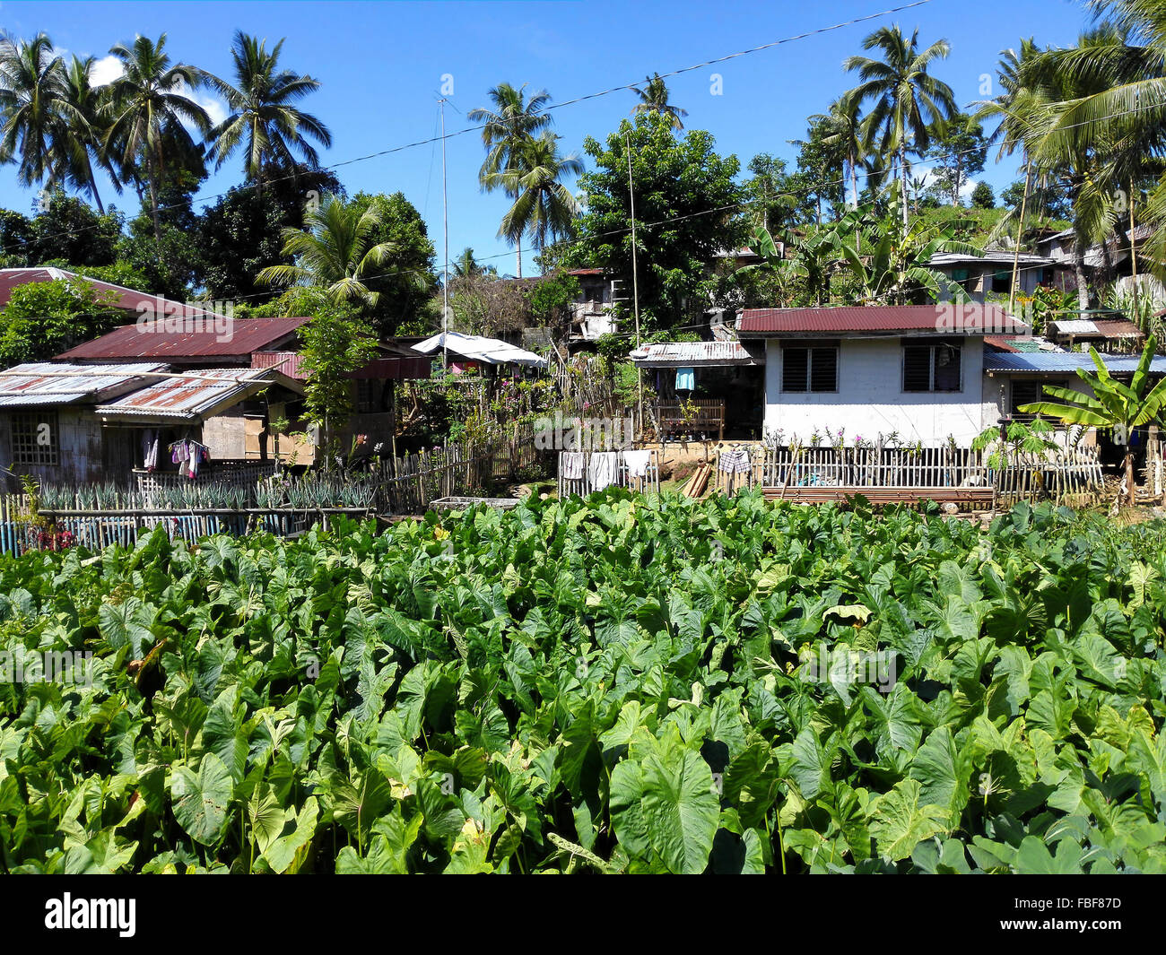 Barangay village hi-res stock photography and images - Alamy