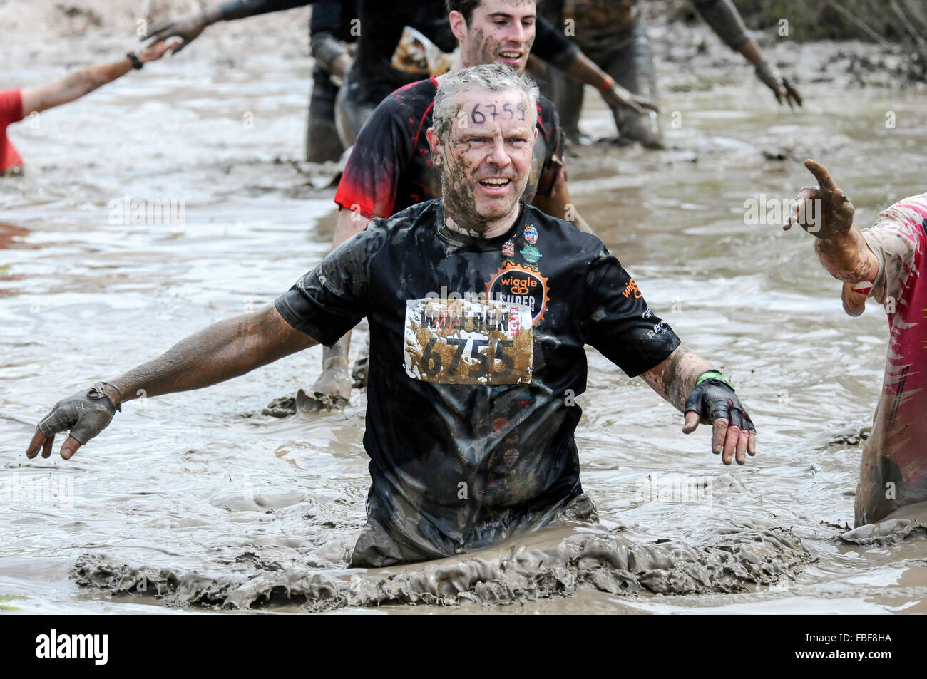 Male and female runners wading through mud lake at obstacle course race ...