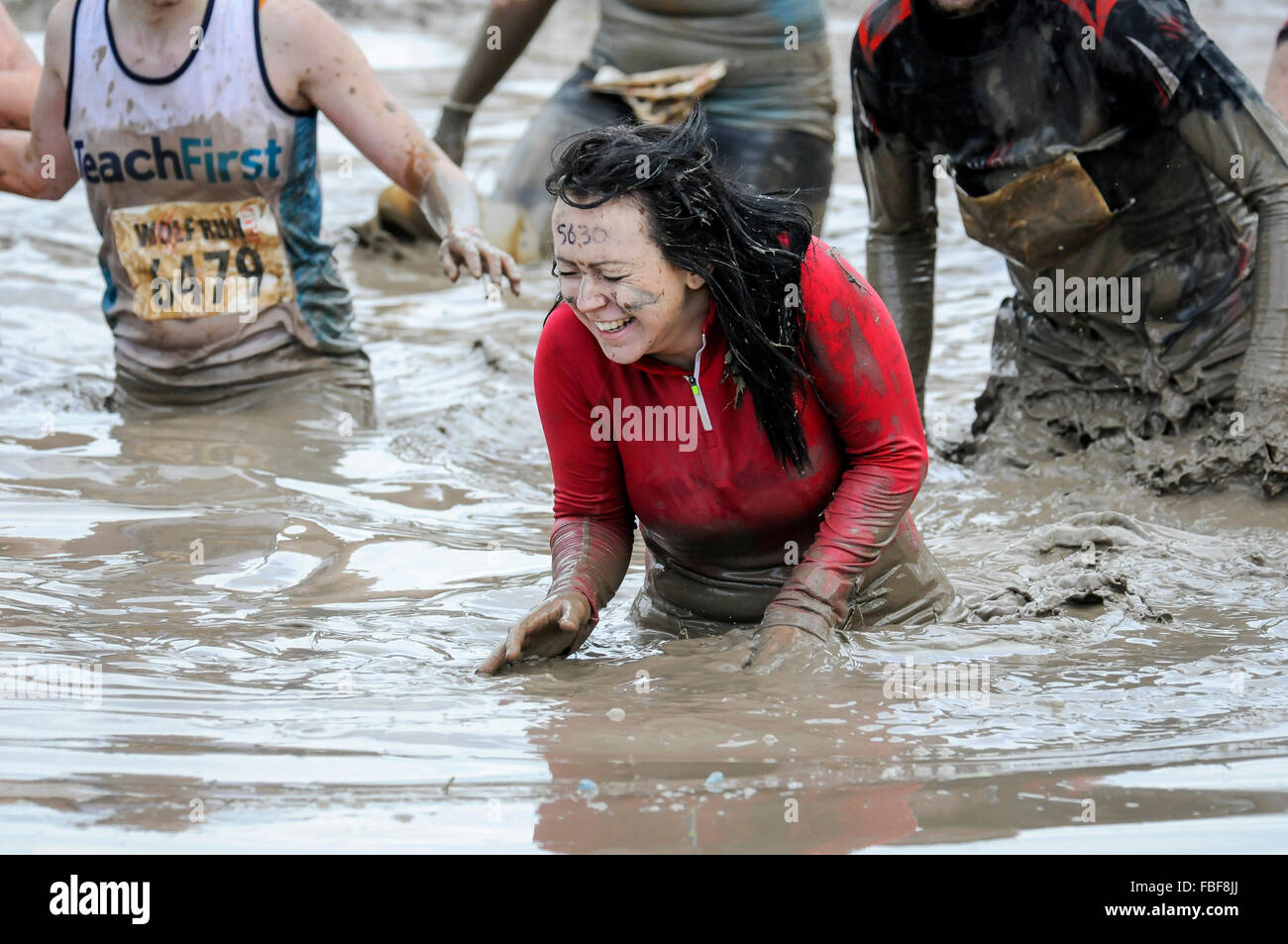 Male and female runners wading through mud lake at obstacle course race ...