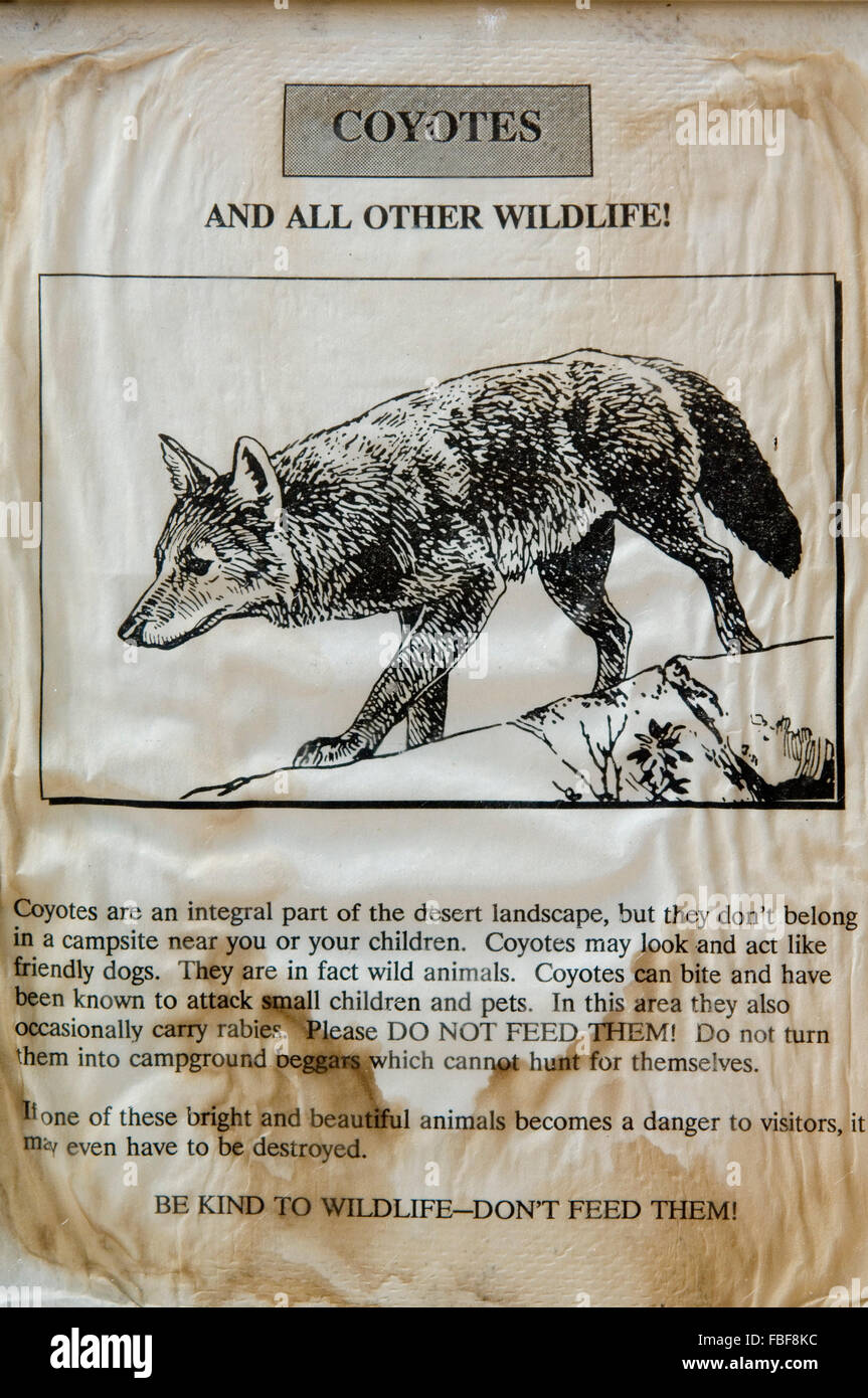 Coyote (Canis latrans) warning poster about feeding wildlife in North ...