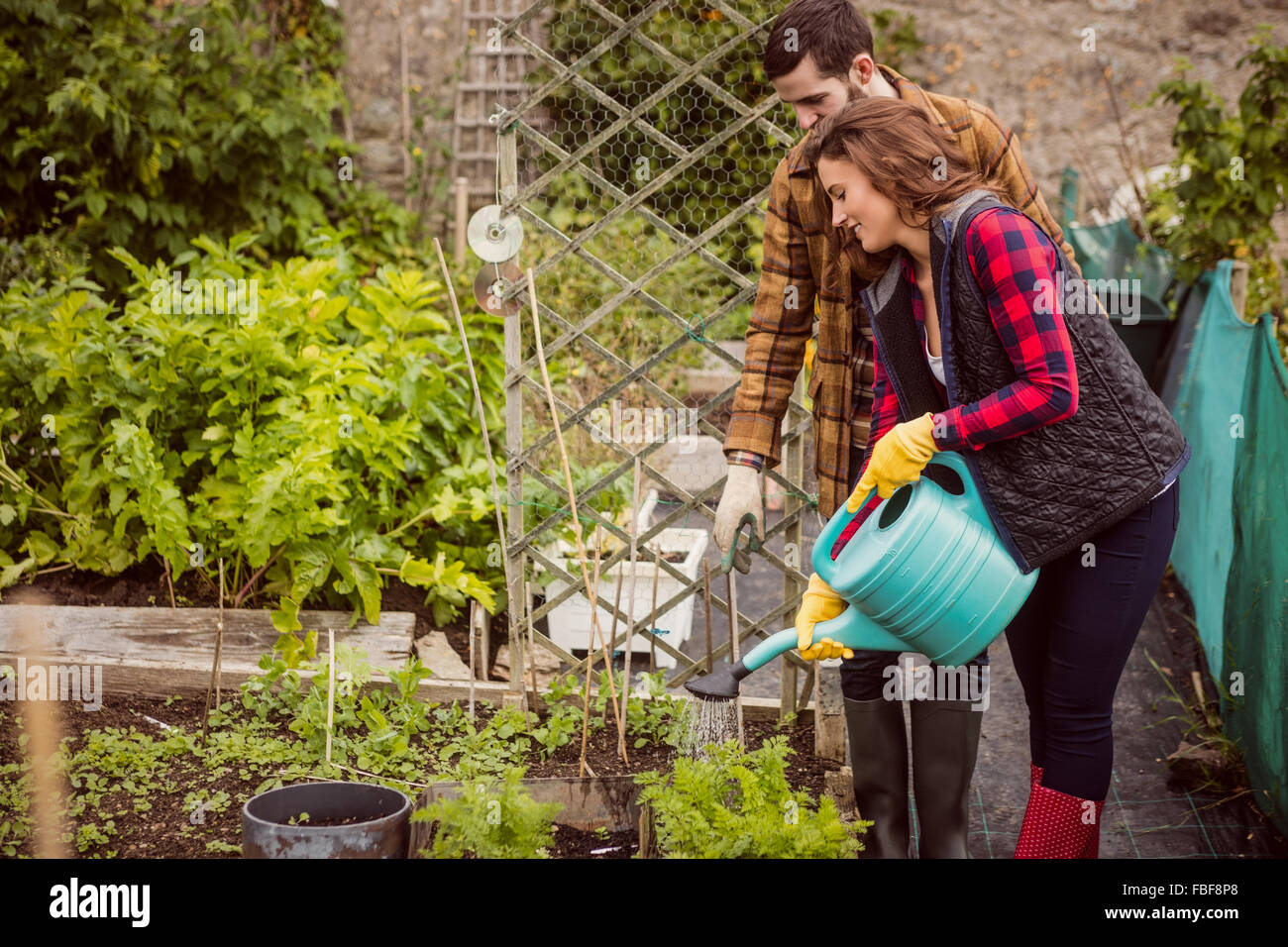 Couple watering plants together Stock Photo - Alamy