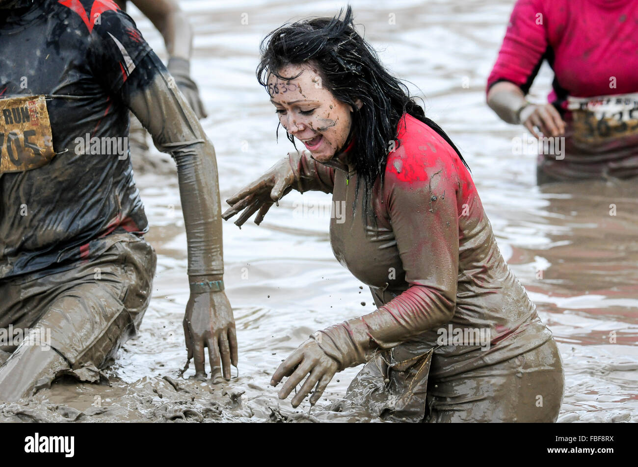 Mud covered single female runners at obstacle course race, UK Stock ...