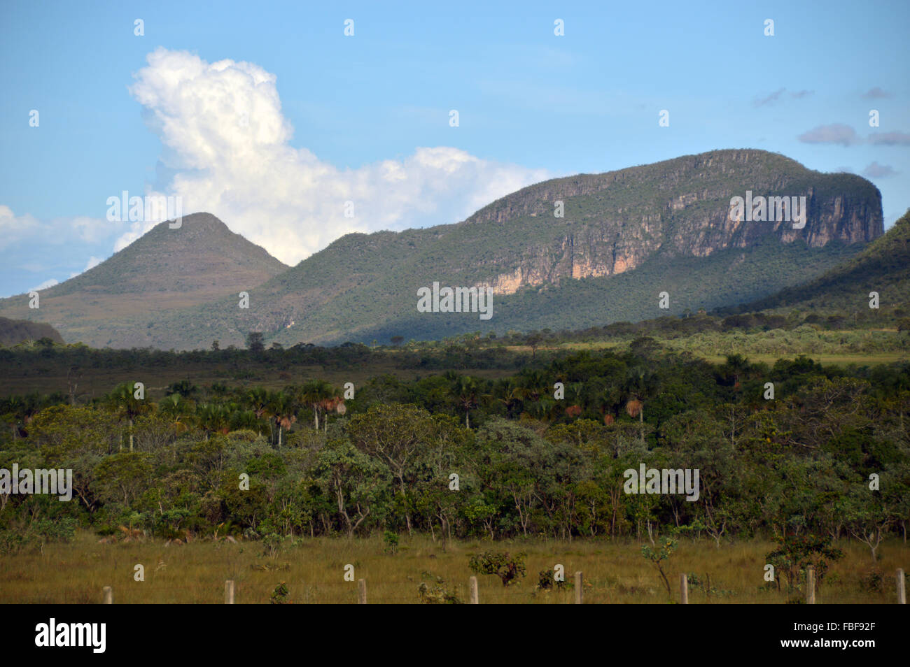 Baleia Mountain hill morro da baleia landscape cerrado ecosystem Stock ...