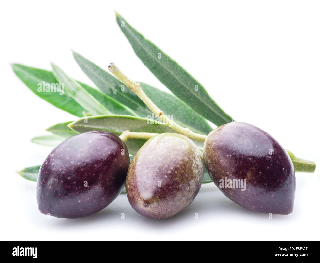 Three fresh olives with leaves on the white background Stock Photo - Alamy