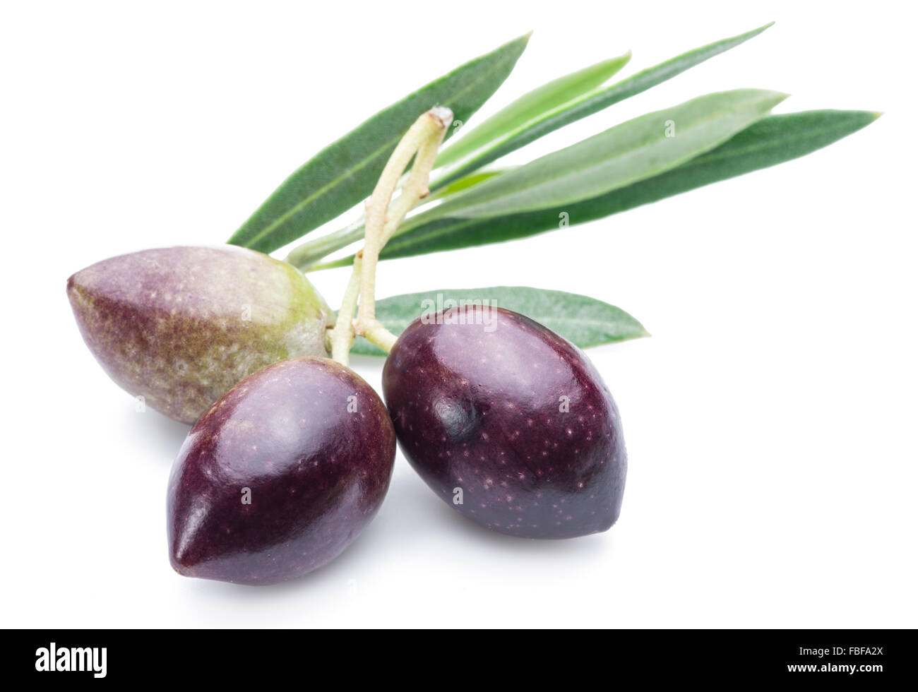 Three fresh olives with leaves on the white background Stock Photo - Alamy