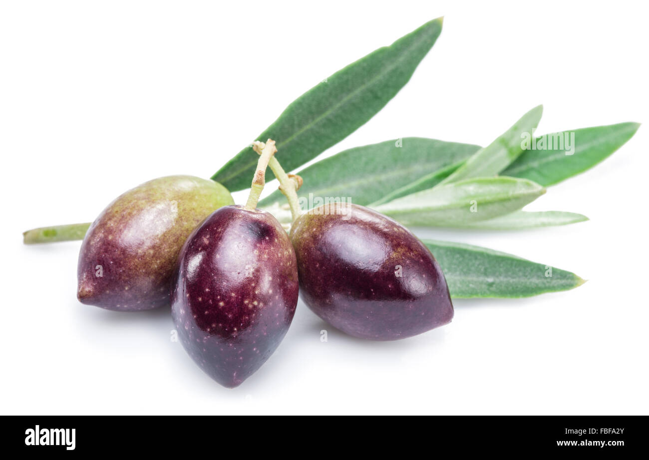 Three fresh olives with leaves on the white background Stock Photo - Alamy