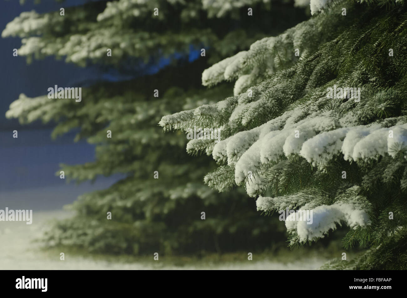 Frosty night hi-res stock photography and images - Alamy