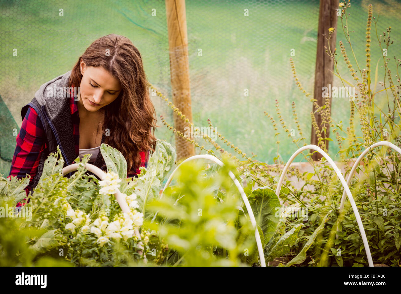 Woman farming hi-res stock photography and images - Alamy