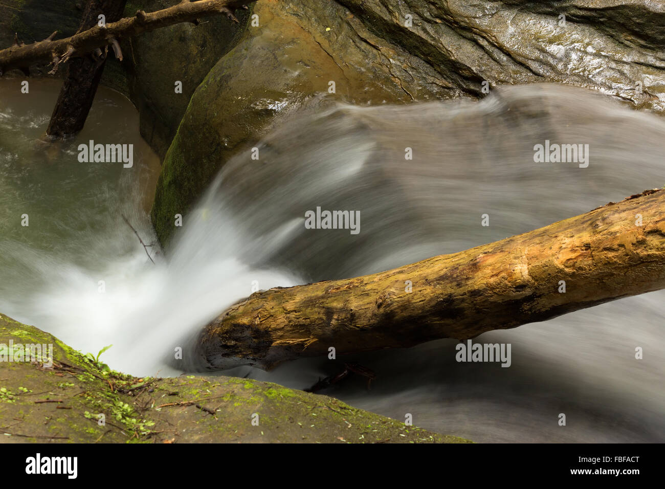 Tranquil stream cascading over stones and branches at Hocking Hills ...