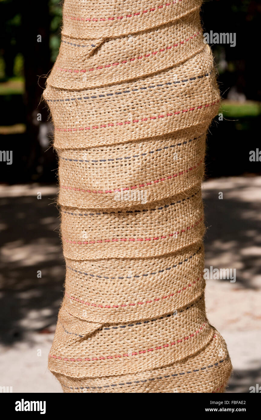 Bandages tree hi-res stock photography and images - Alamy