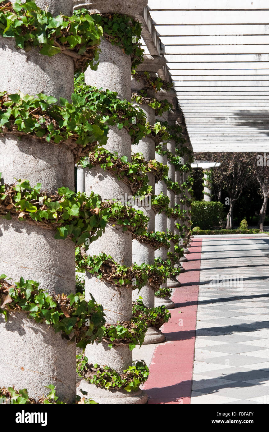Ivy climbing on a column in Jardines de Cecilio Rodriguez, Retiro Park ...