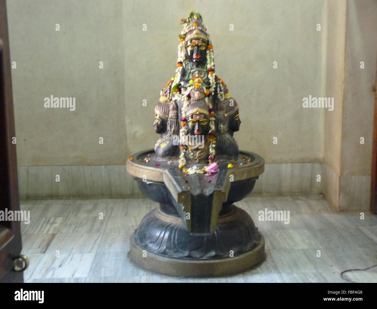 Bhu campus hi-res stock photography and images - Alamy