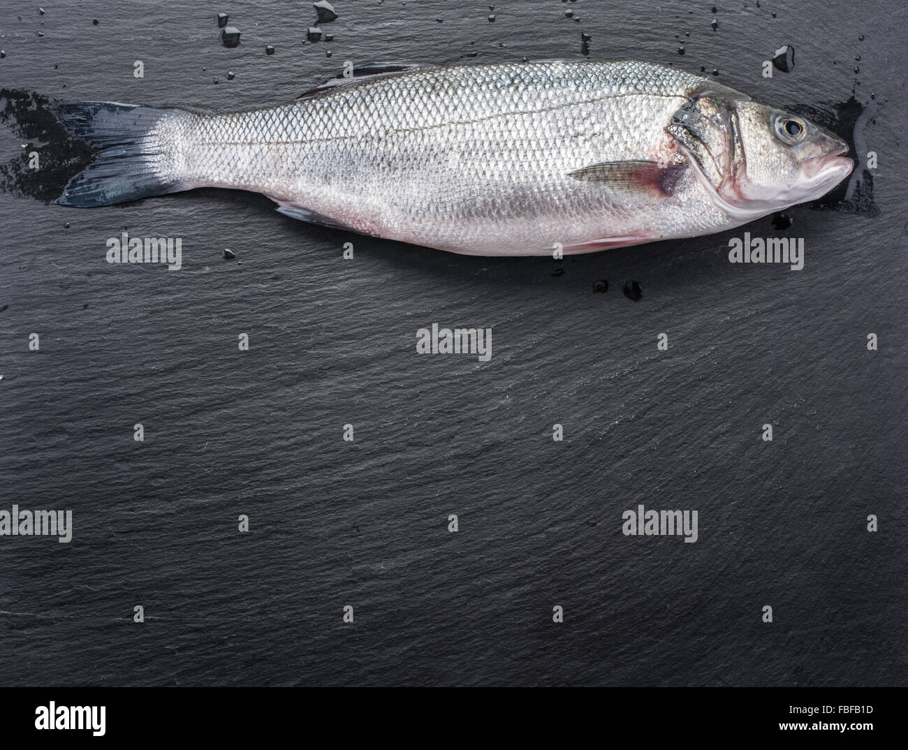 Sea bass fish on the graphite board Stock Photo - Alamy