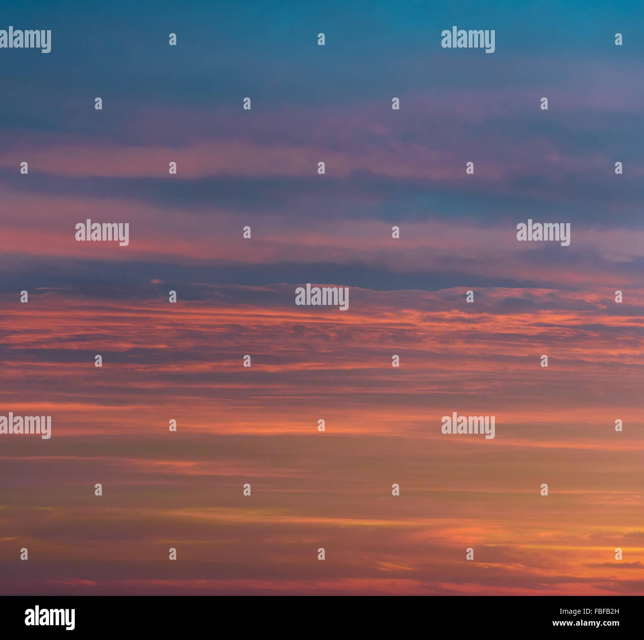Beautiful bright sunset Stock Photo - Alamy