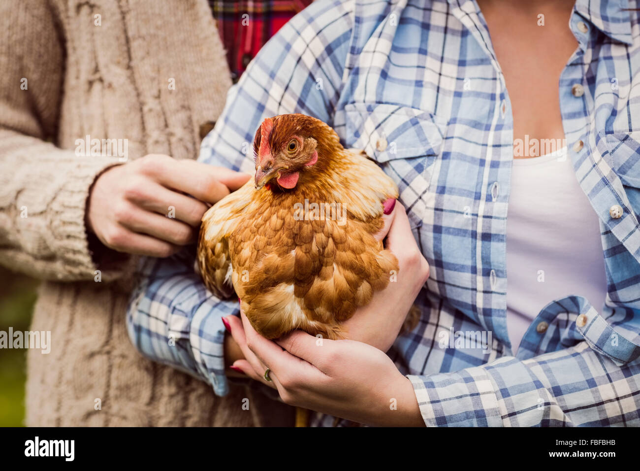 Portrait of couple holding chicken Stock Photo - Alamy