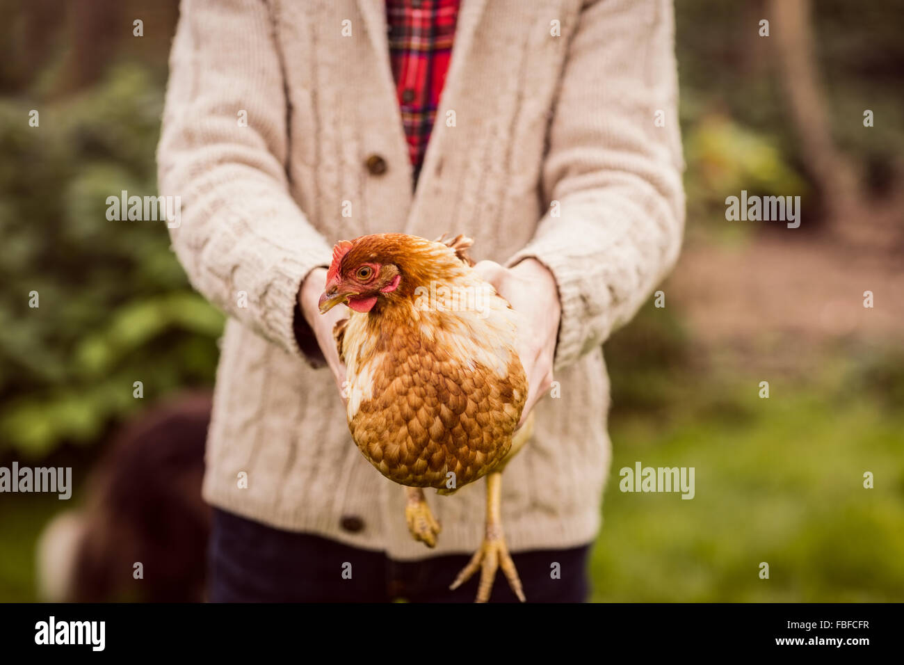 Attractive man and chicken hi-res stock photography and images - Alamy