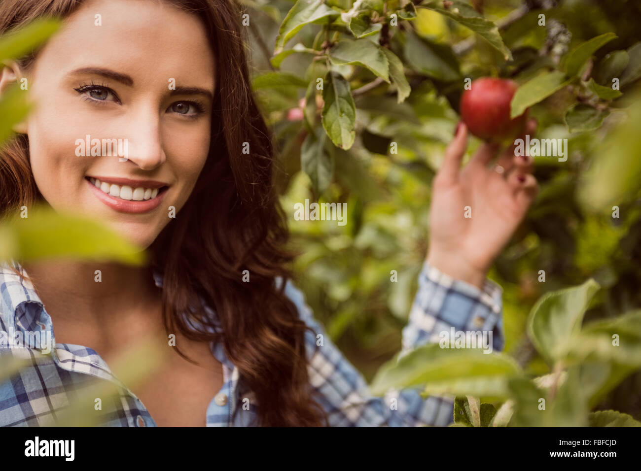 Portrait of woman touching apple Stock Photo - Alamy