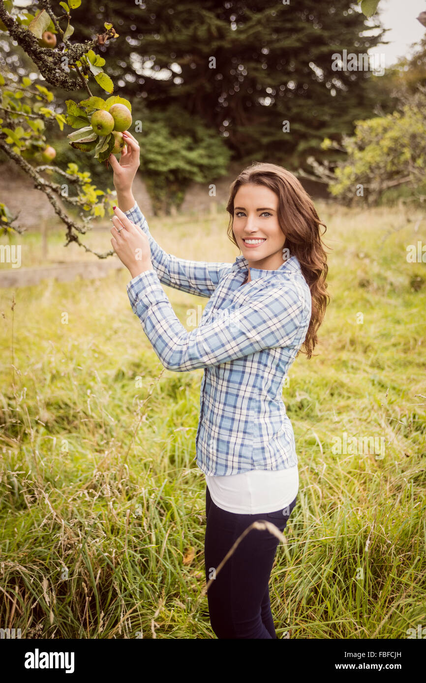 Smiling woman touching apple tree Stock Photo - Alamy