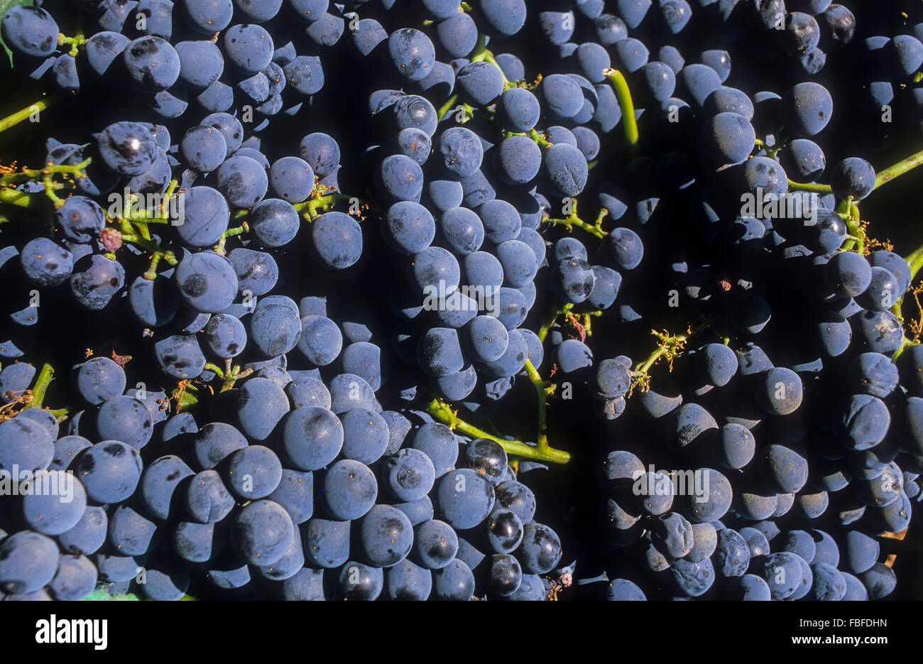 Almeriense hi-res stock photography and images - Alamy