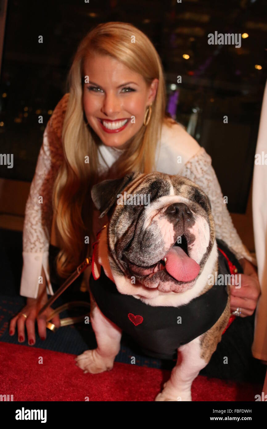 Beth Stern attends Beth Stern & Friends Bash For The Bulldogs of LI at ...