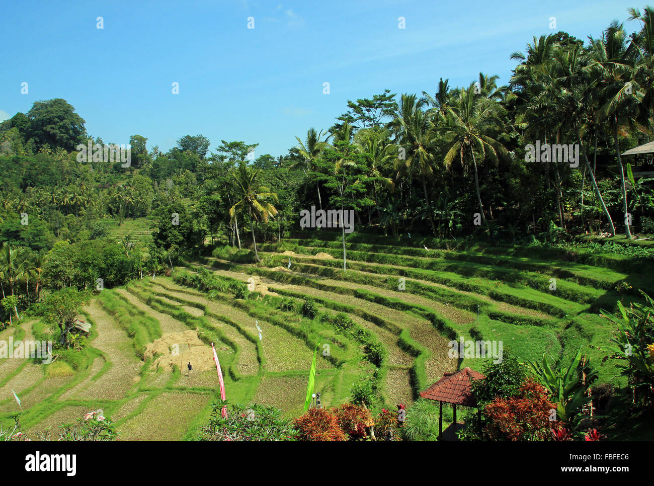 Countryside terraces hi-res stock photography and images - Alamy