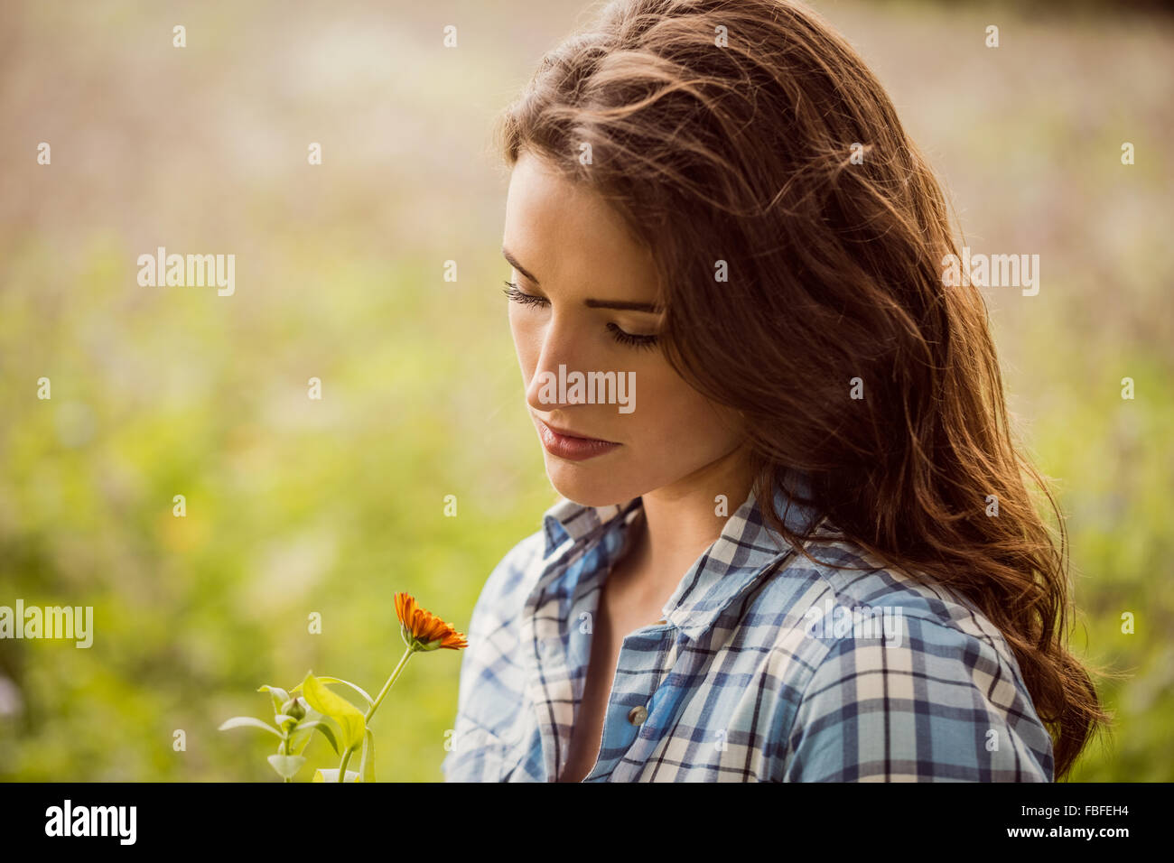 Woman looking at flower Stock Photo - Alamy