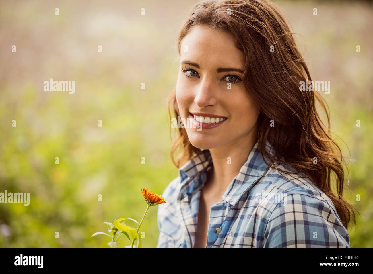 How looking this flower hi-res stock photography and images - Alamy
