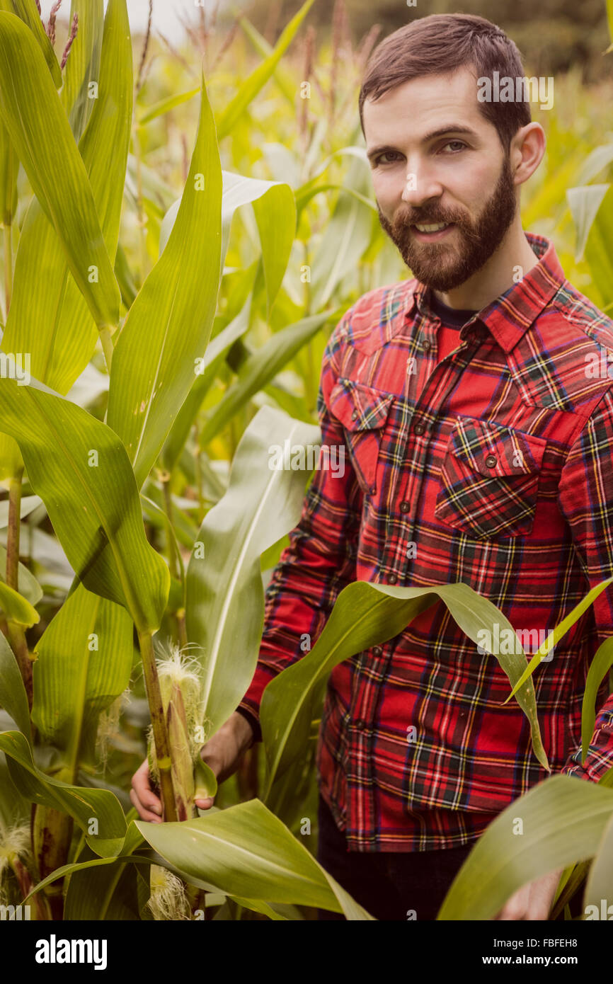 Man 20s corn outdoors hi-res stock photography and images - Alamy