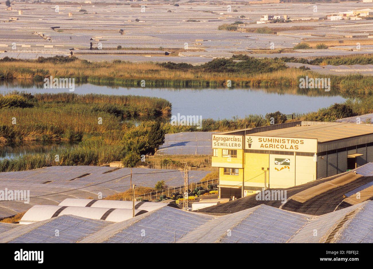 Albufera de Adra, Adra. Almeria province, Andalucia, Spain Stock Photo ...