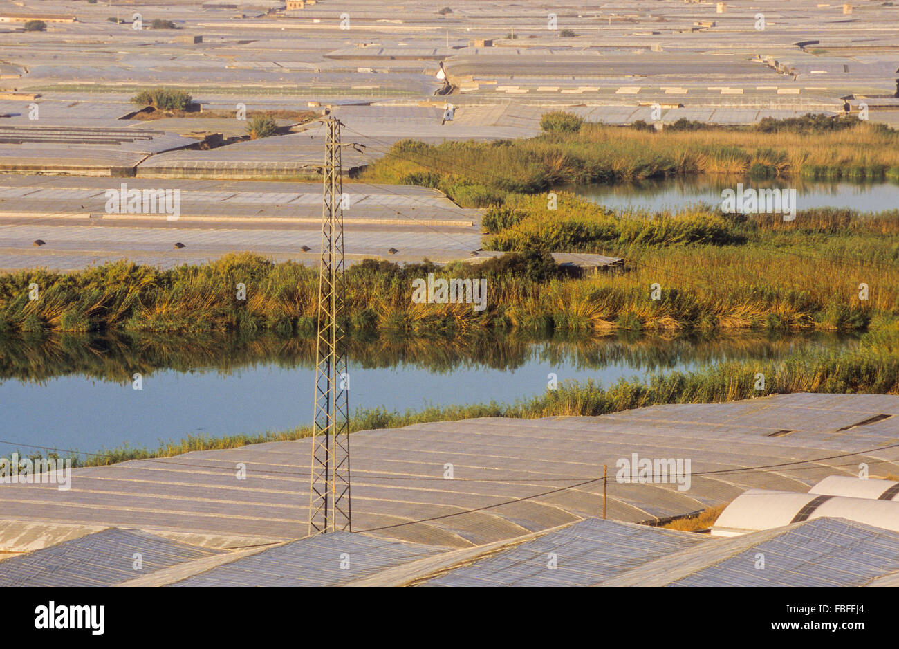 Albufera de Adra, Adra. Almeria province, Andalucia, Spain Stock Photo ...