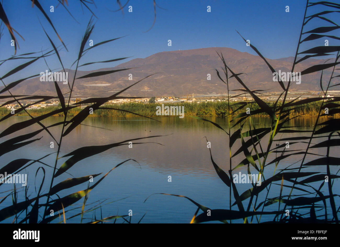 Albufera de Adra, Adra. Almeria province, Andalucia, Spain Stock Photo ...