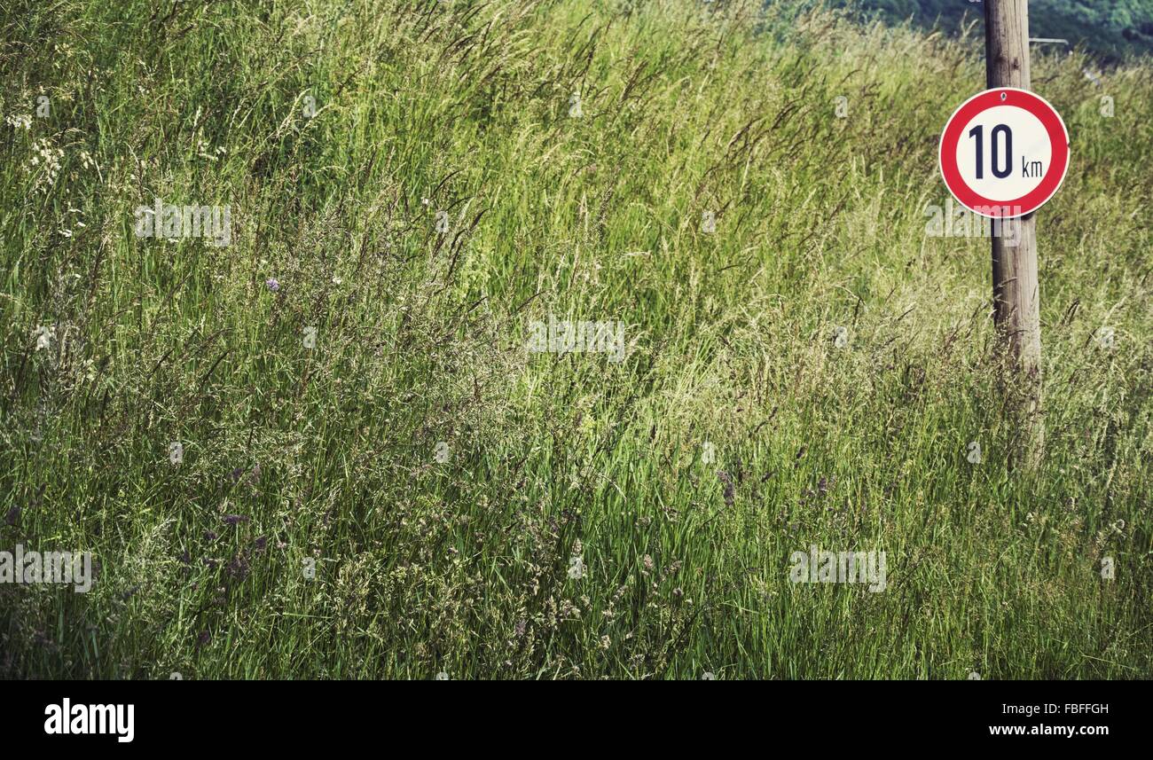 Number 10 In Nature High Resolution Stock Photography and Images - Alamy