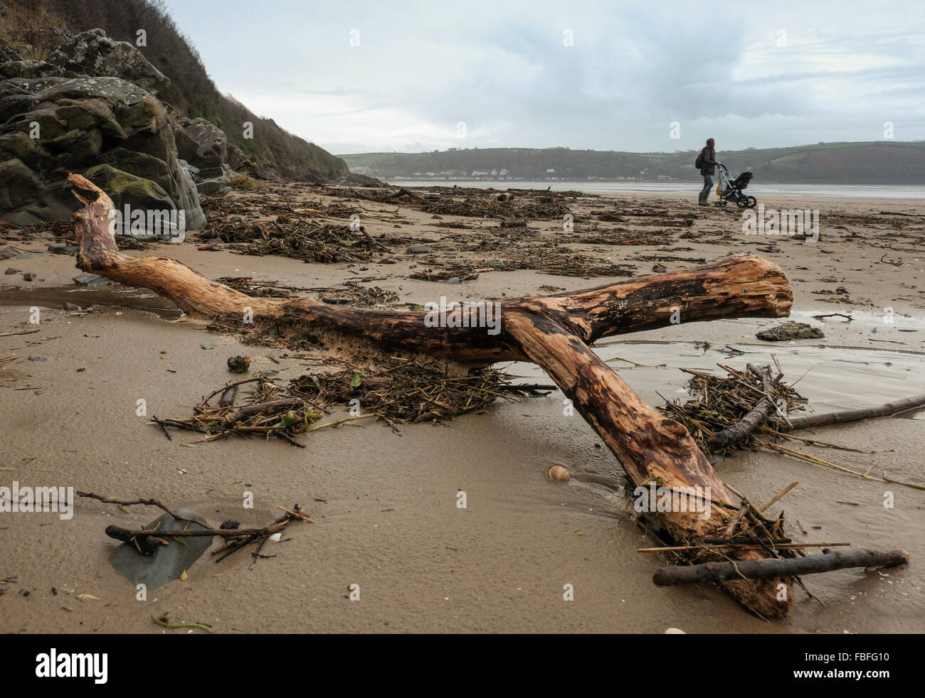 Detritus washed up on Llansteffan Beach after high tide following ...