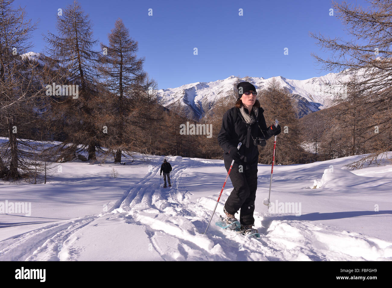 Black snowshoe hi-res stock photography and images - Alamy