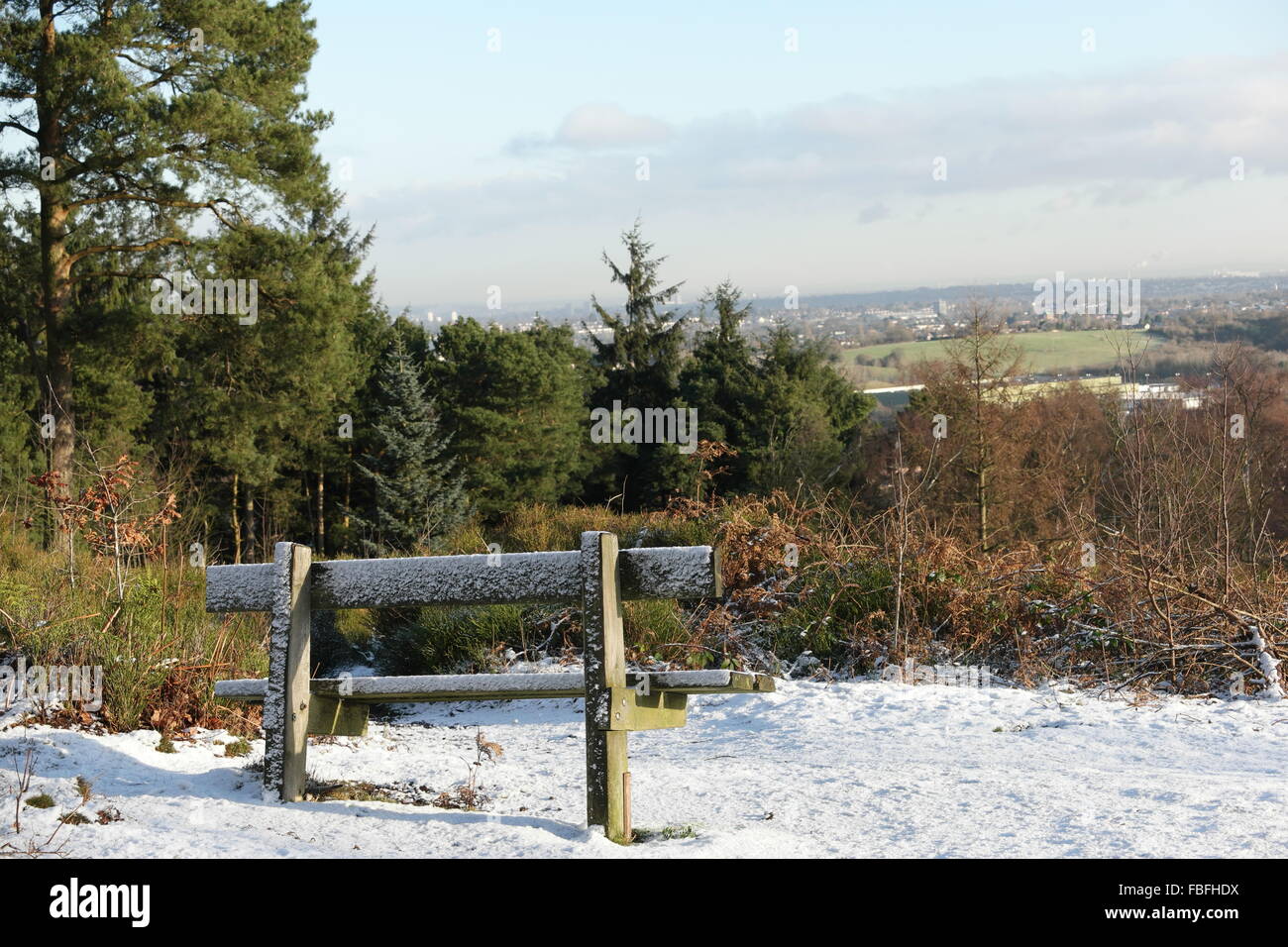 Snow scene in Country Park Stock Photo - Alamy