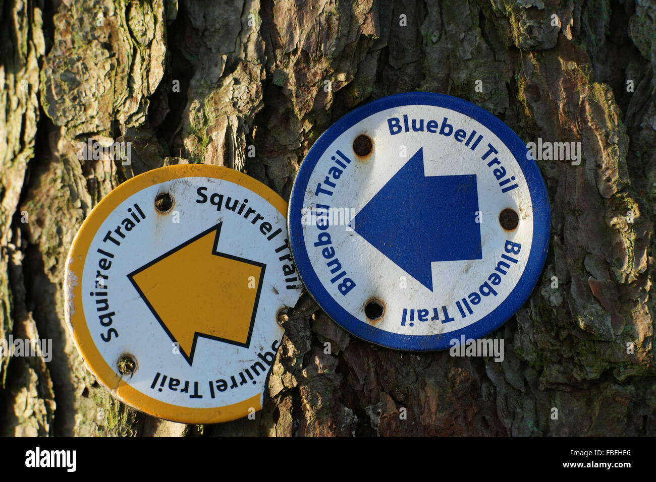Colorful Country walk signposts tacked to tree trunk Stock Photo - Alamy