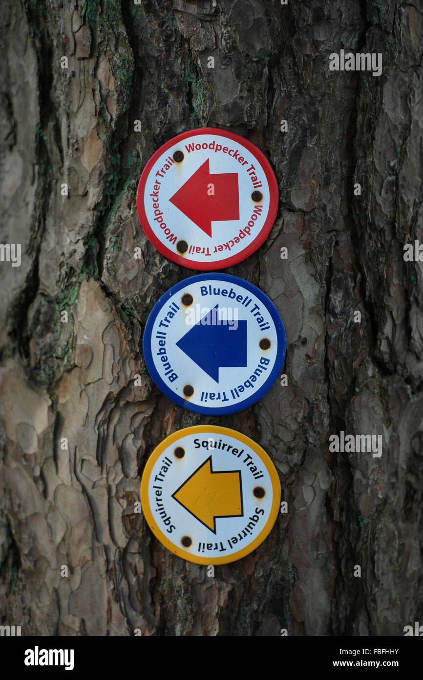 Colorful Country walk signposts tacked to tree trunk Stock Photo - Alamy