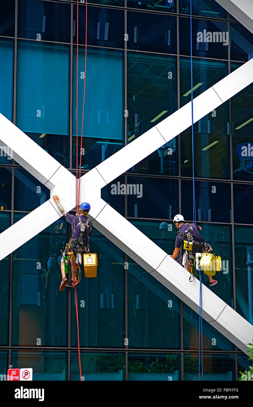 Window Washers Sydney Australia Downtown New South Wales AU Stock Photo ...