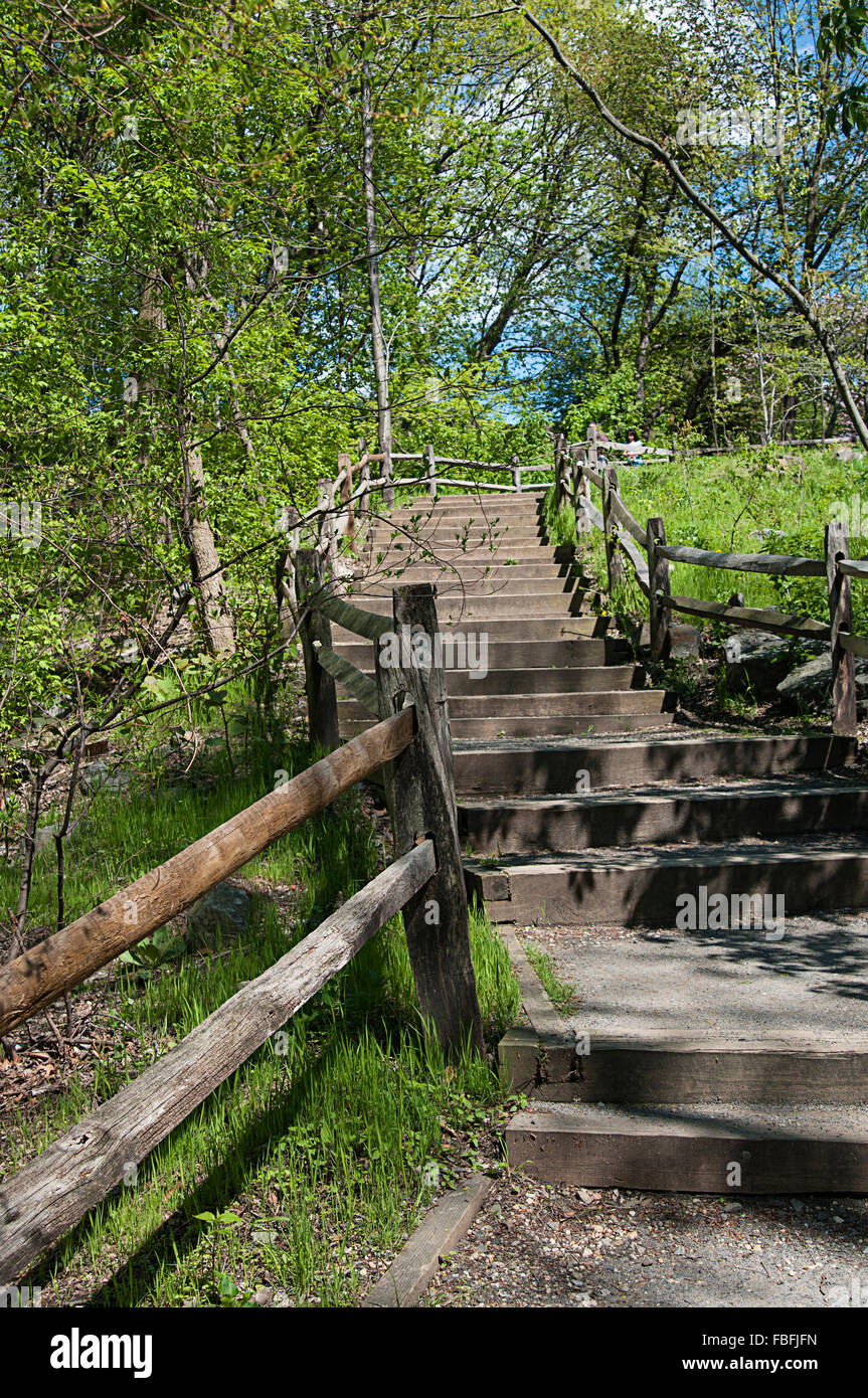 A pathway at the New York botanical gardens Stock Photo - Alamy