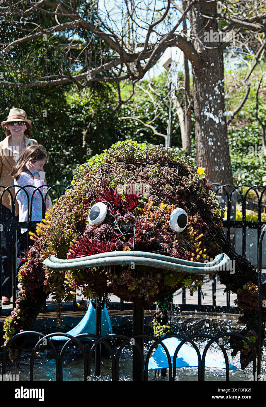 Frog topiary at the New York Botanical gardens in the Bronx, New York ...