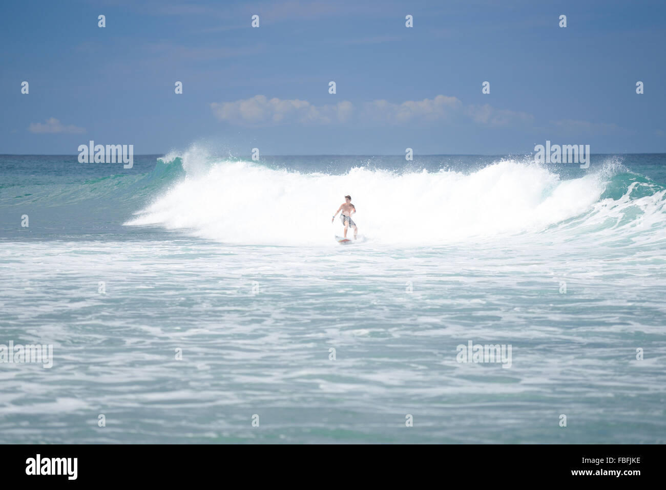 Surfer catching a wave at Dome's Beach. Rincon, Puerto Rico. USA ...