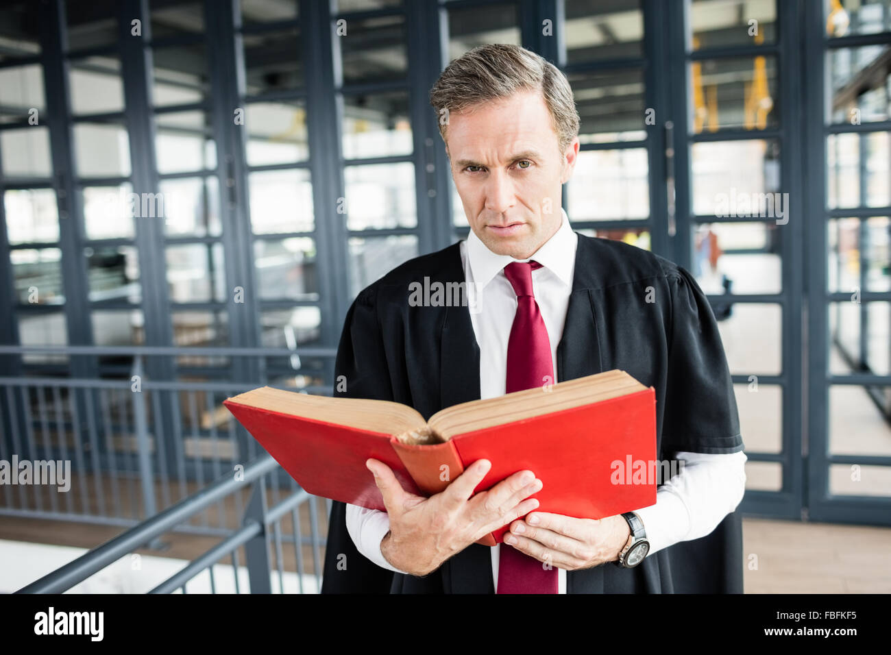 Lawyer reading a book attentively Stock Photo - Alamy