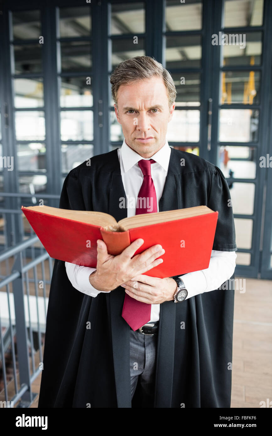 Lawyer reading a book attentively Stock Photo - Alamy
