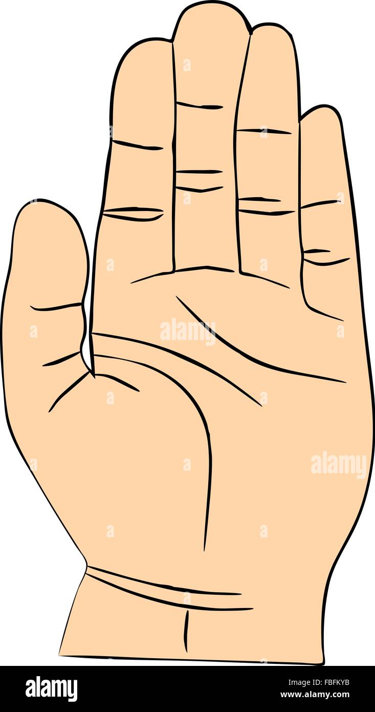 hand on a white background Stock Vector Image & Art - Alamy