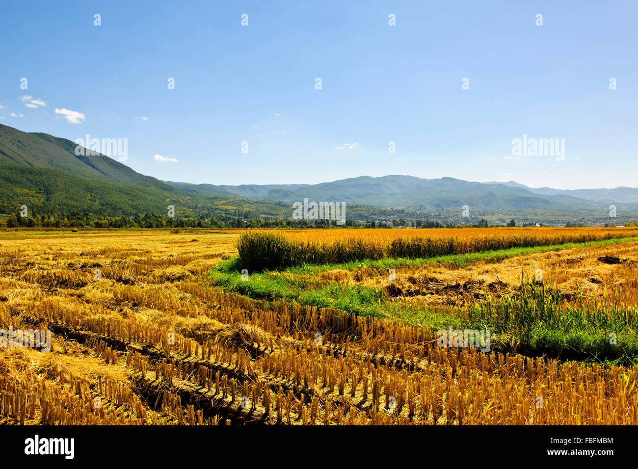 Old Theatre Inn,Village,surrounding countryside,Jiang River,Duanjiadeng ...