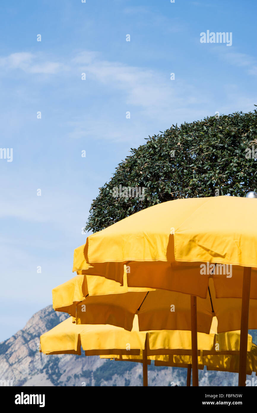 Yellow parasol hi-res stock photography and images - Alamy