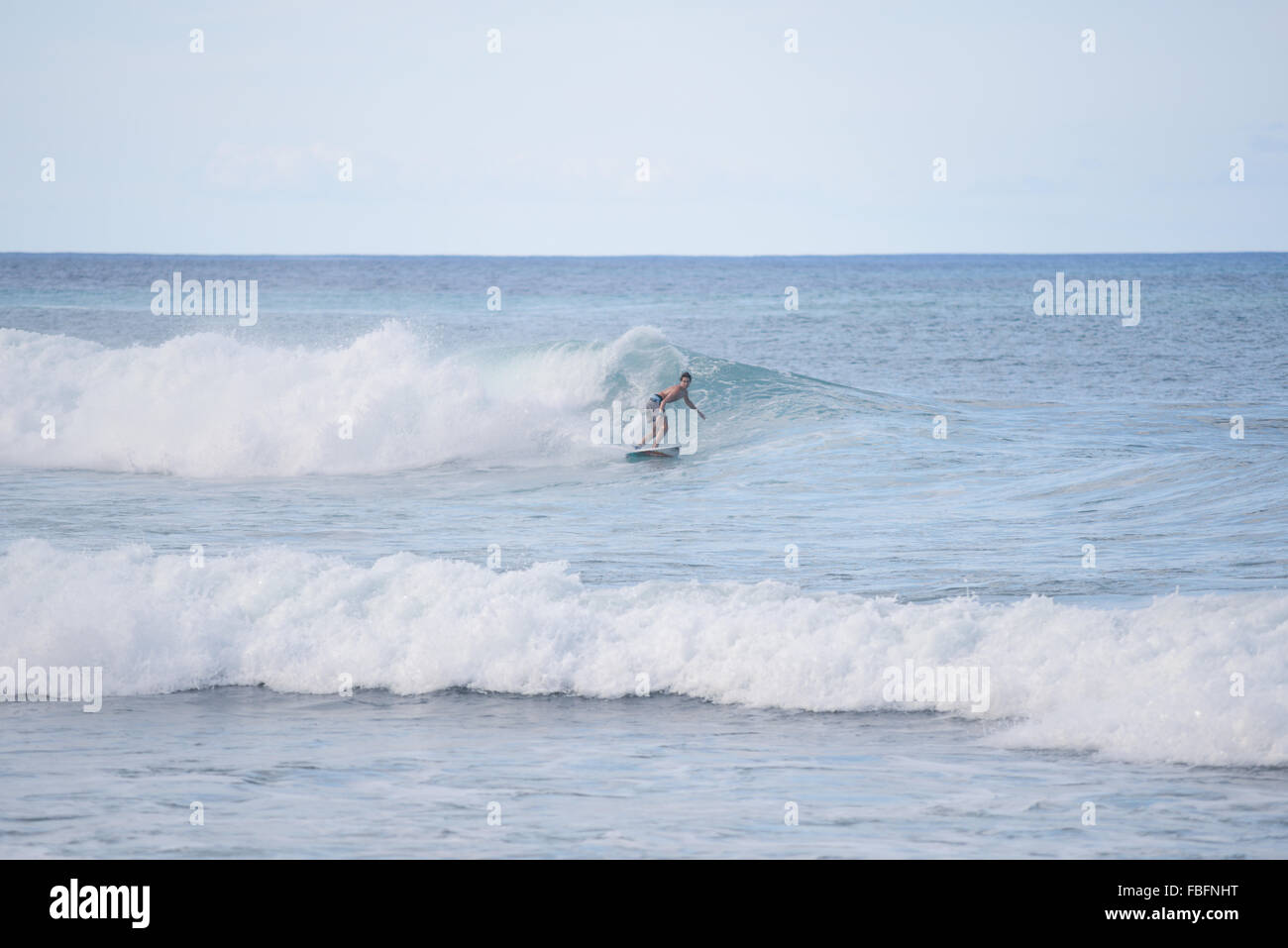 Surfer catching a wave at Dome's Beach. Rincon, Puerto Rico. USA ...