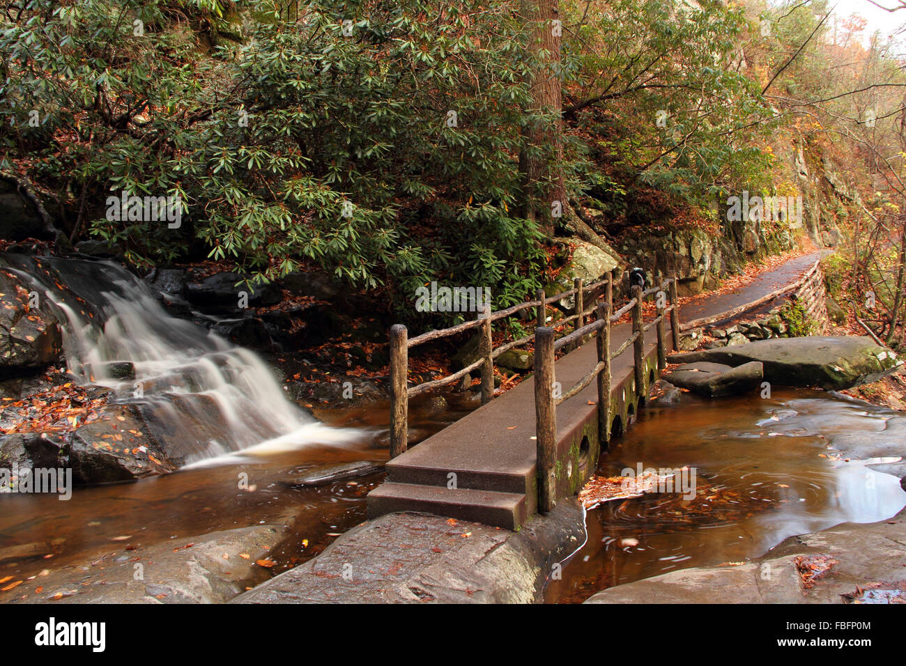 Laurel creek cascades hi-res stock photography and images - Alamy