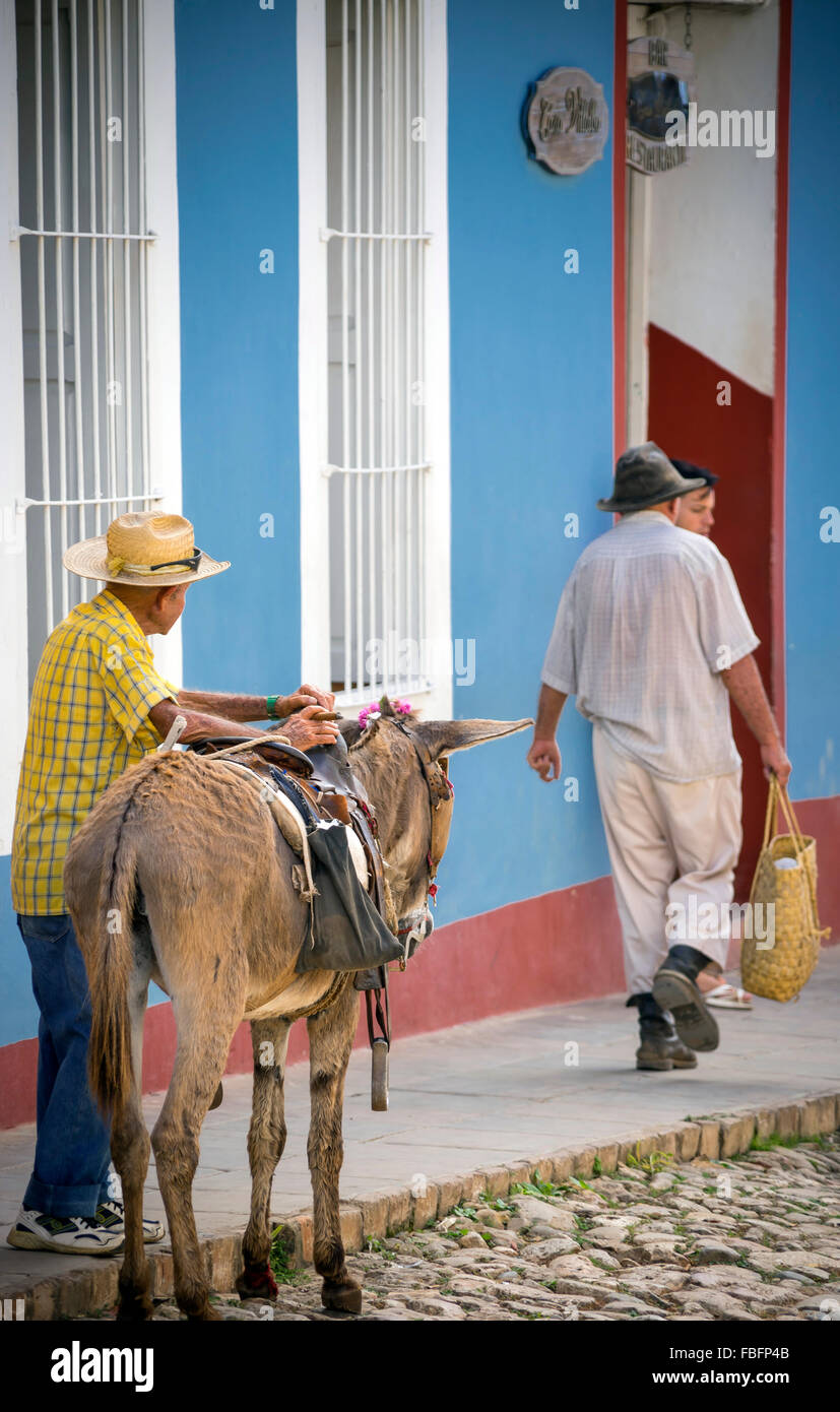 Cuban man and donkey hi-res stock photography and images - Alamy