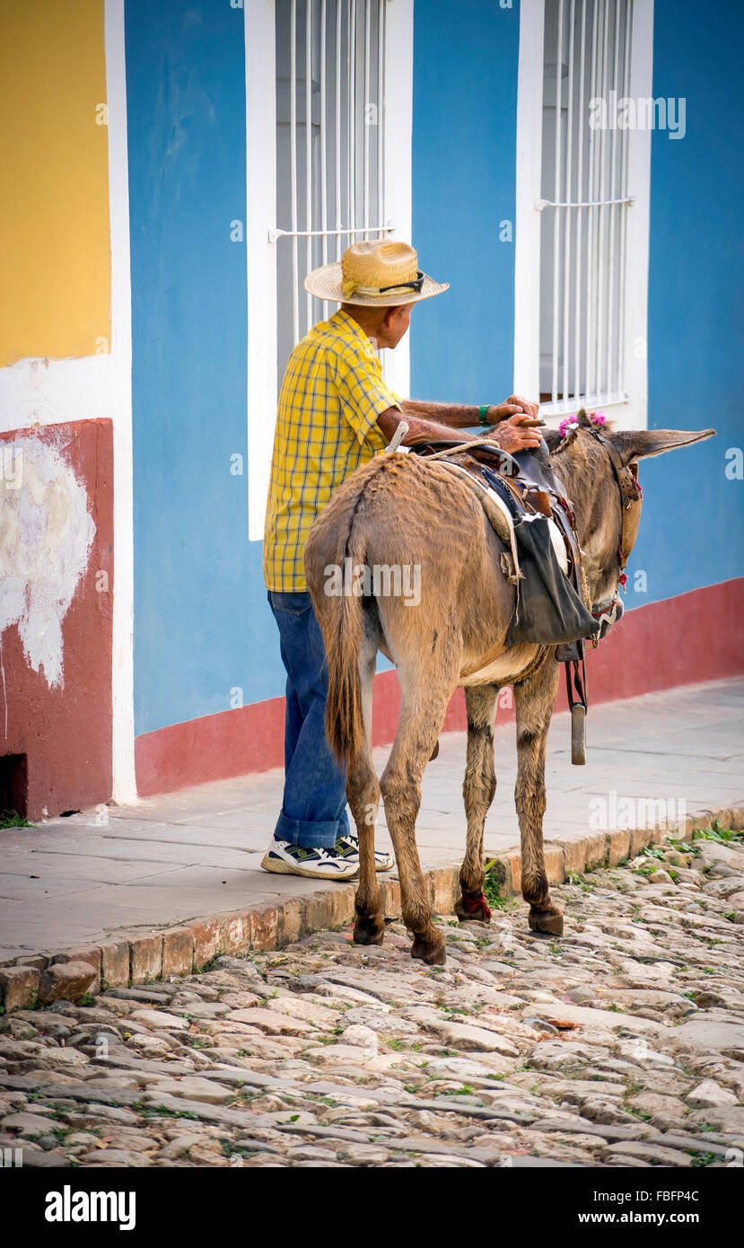 man and his donkey on the streets of trinidad,cuba Stock Photo - Alamy